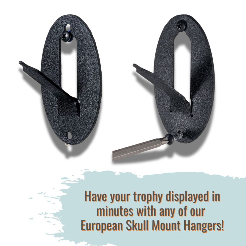 Crossed-Cartridge European Mount Hanger | Steel Skull Display