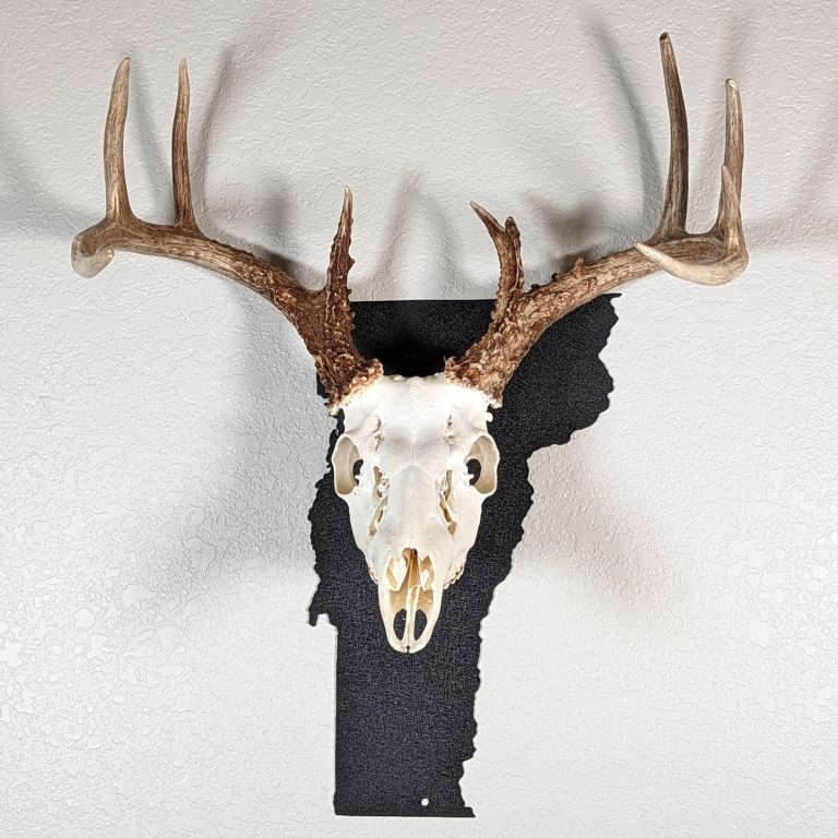State European Mount Hanger | Easy Skull Display | Kabash Outdoors