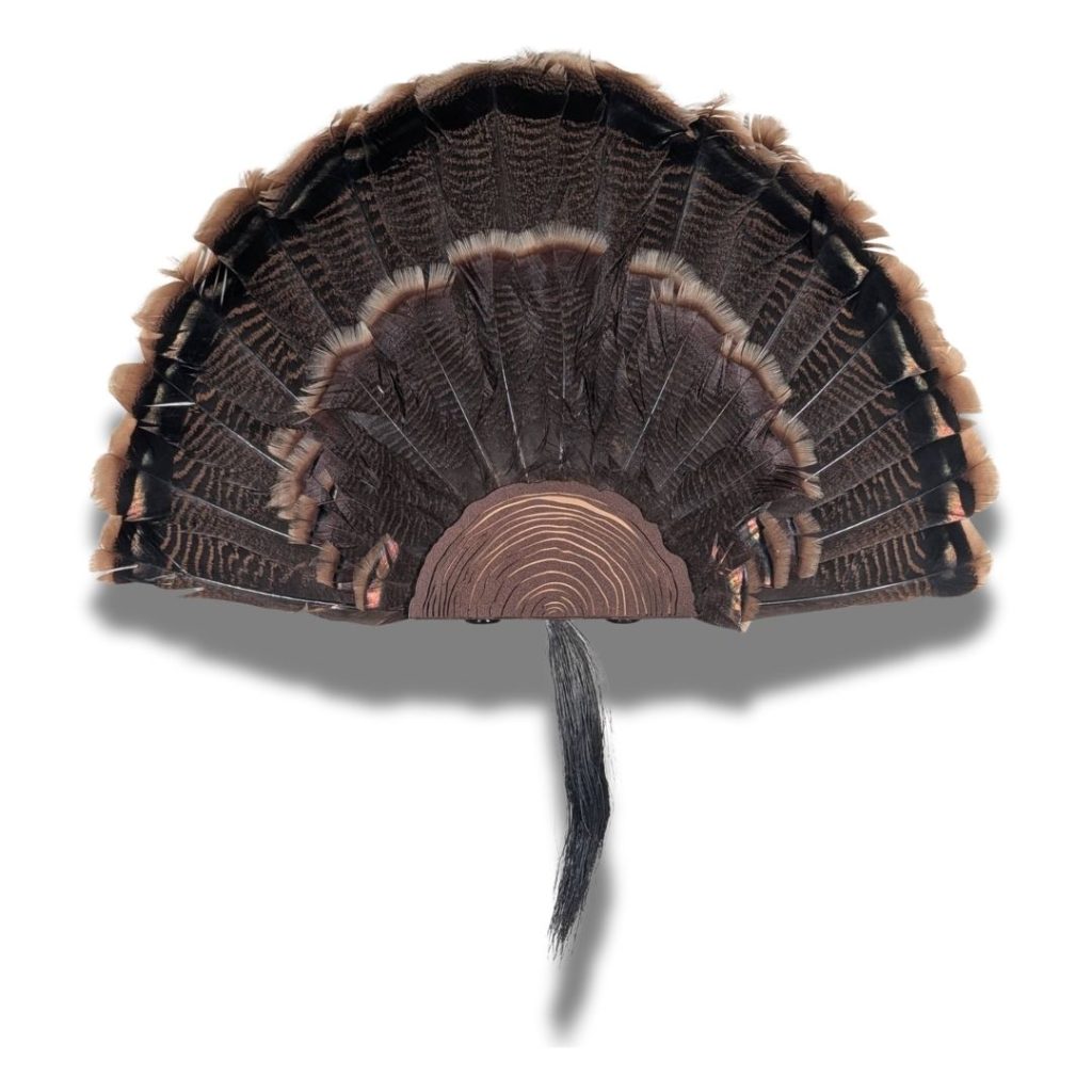 Turkey Fan Display Mount | Gobbler Mounts | Kabash Outdoors